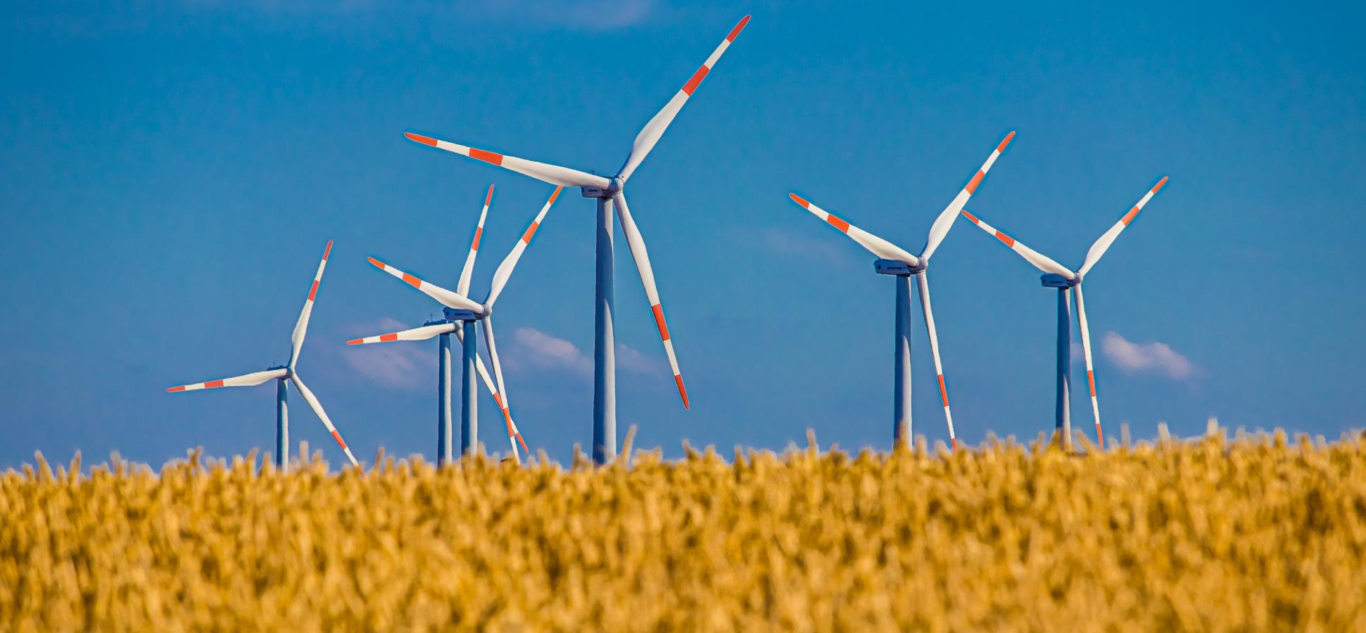 NaturFreunde fordern schnellen Ausbau der Windkraft | NaturFreunde Berlin